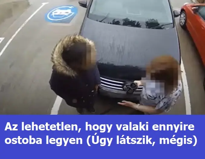 Az lehetetlen, hogy valaki ennyire ostoba legyen (Úgy látszik, mégis)