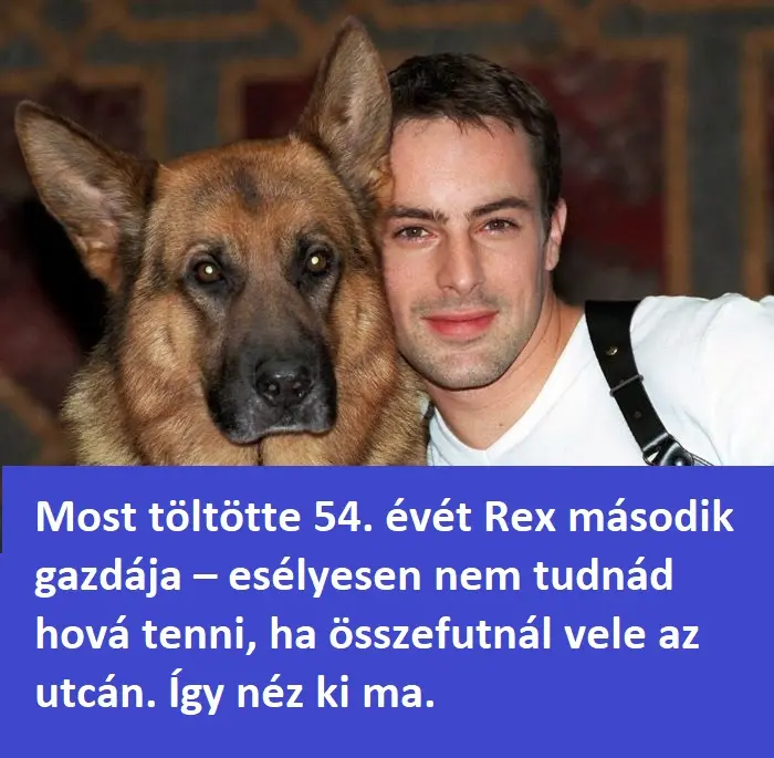 Most töltötte 54. évét Rex második gazdája – esélyesen nem tudnád hová ...
